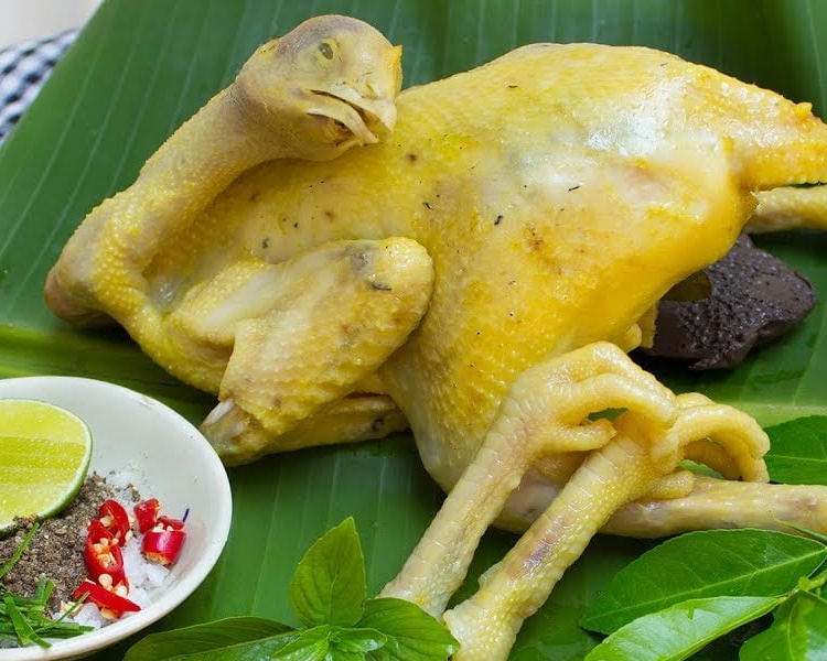 Top 25 món gà Chiên, Nướng, Hầm, Kho siêu ngon, dễ nấu tại nhà